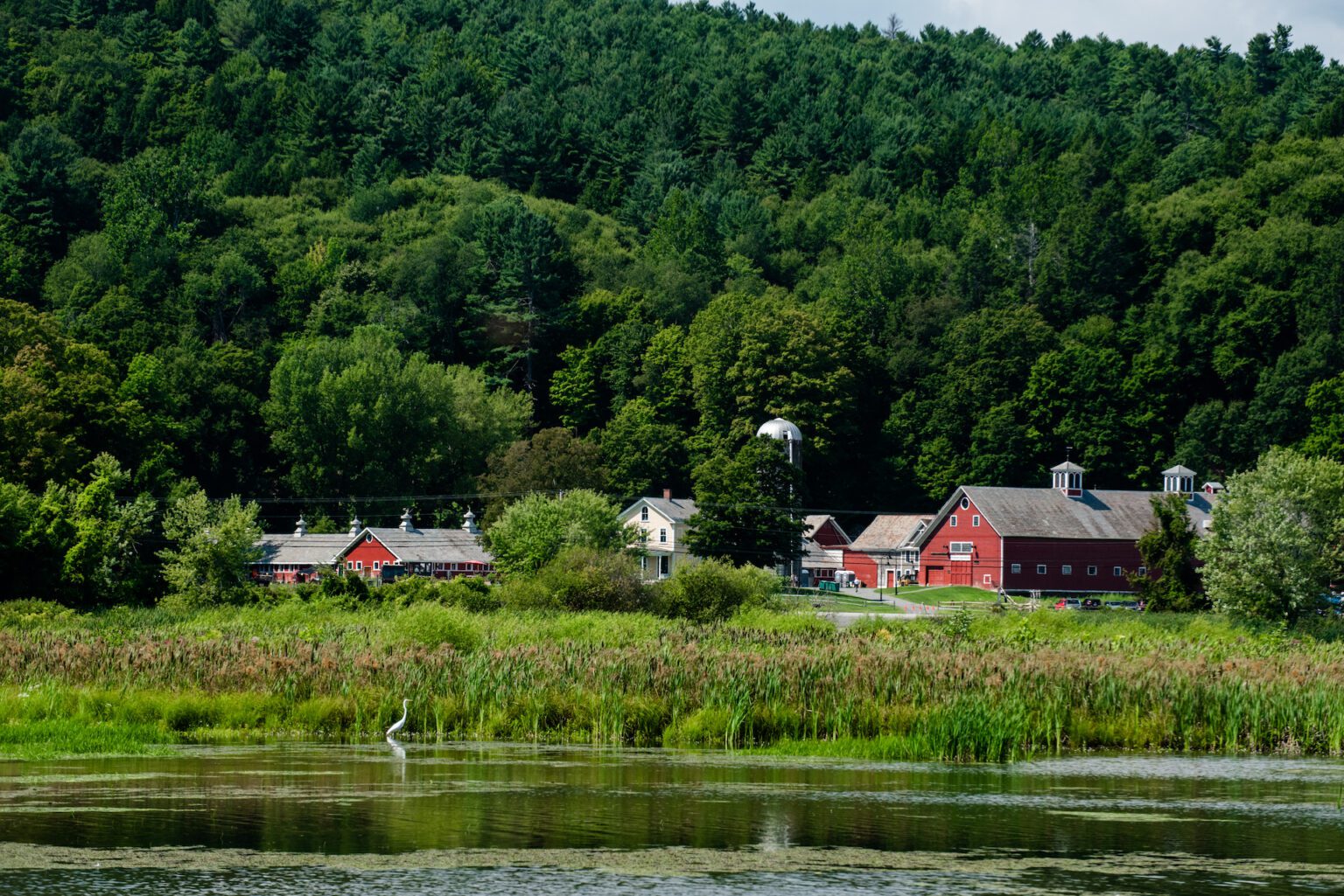 Vermont Independent Media / The Commons - Brattleboro Chamber of Commerce
