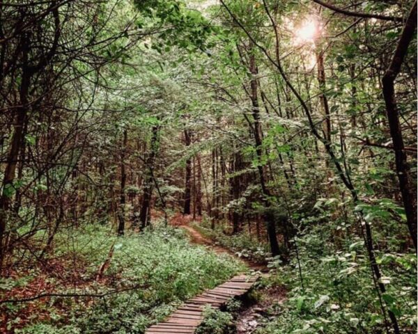 Brattleboro Hiking - Brattleboro Chamber of Commerce